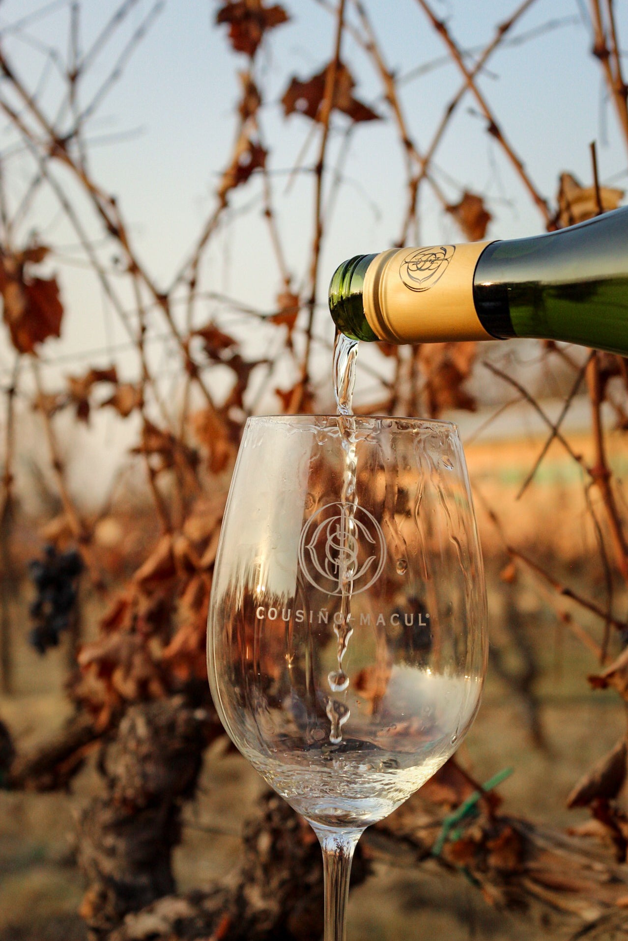 History - Cousiño Macul